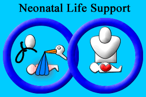 EZ Competency Home Page